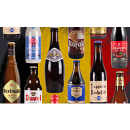 The Guide to Belgian Beer